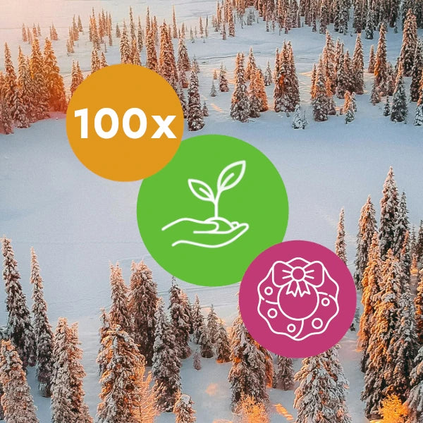 Gift 100 Trees - Christmas Pack – The Tree Gift