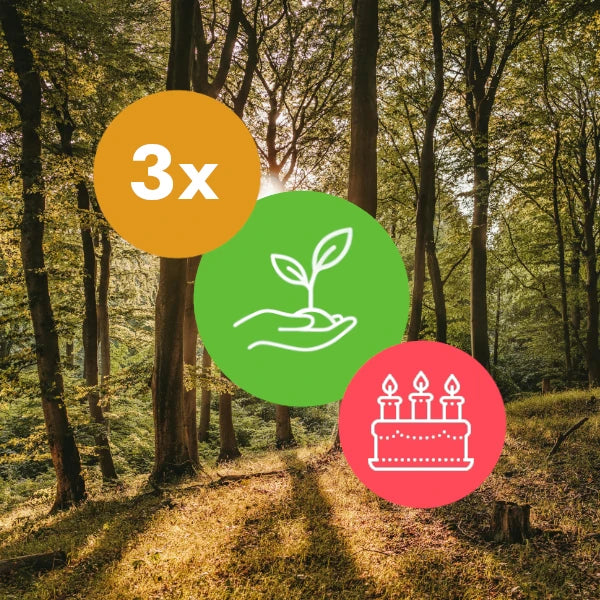 Gift 3 Trees - Birthday Pack – The Tree Gift